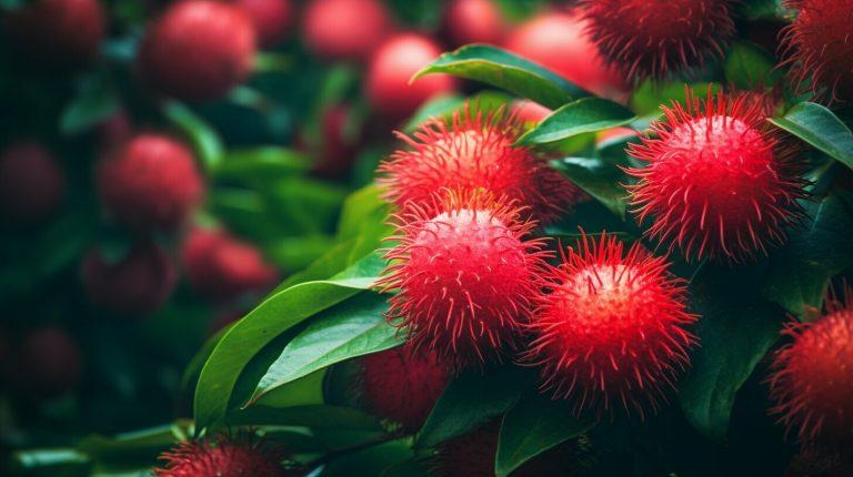 Discover Cambodian Fruits: A Guide to Exotic Delights & Flavors